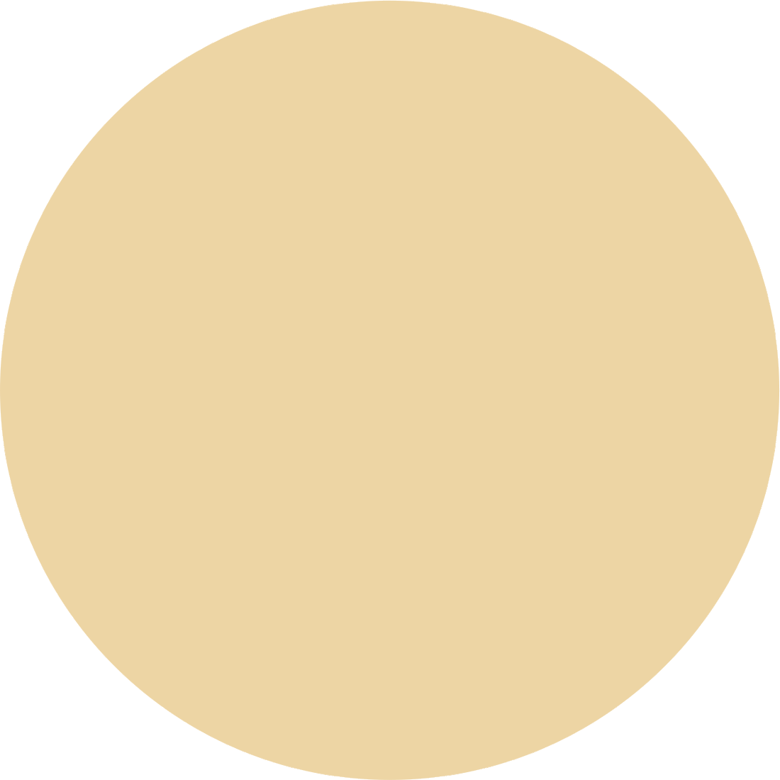 631 Oracal 082 Beige Choose Your Length – CraftCutterSupply.com